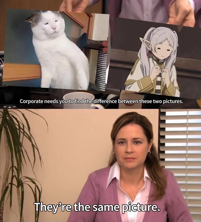 Corporate needs you to find the difference between these two pictures ...