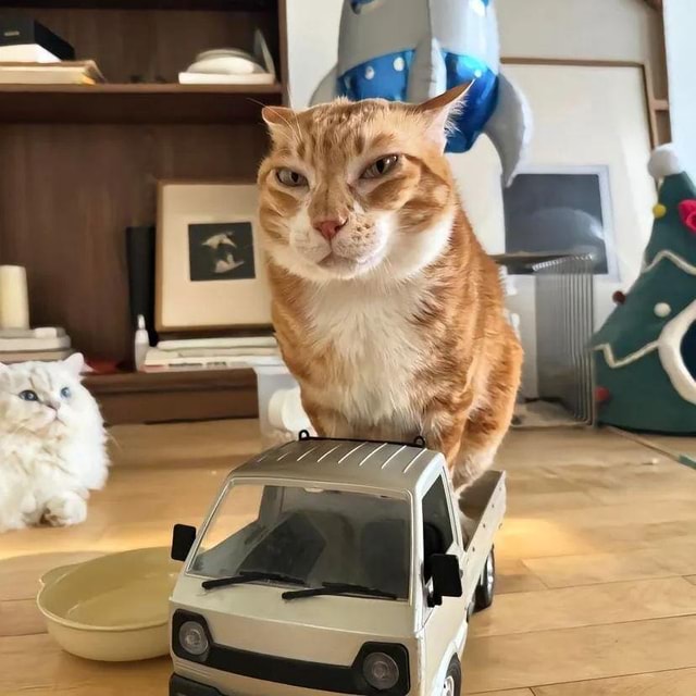 Mischevos and aerodynamic Credit sansanmaoer Follow meowcursed for more ...