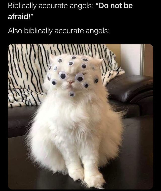 Biblically accurate angels: "Do not be afraid!" Also biblically ...