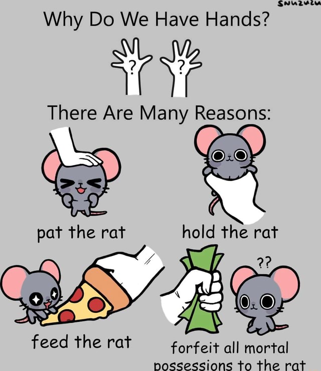Why Do We Have Hands? There Are Many Reasons: pat the rat hold the rat ...