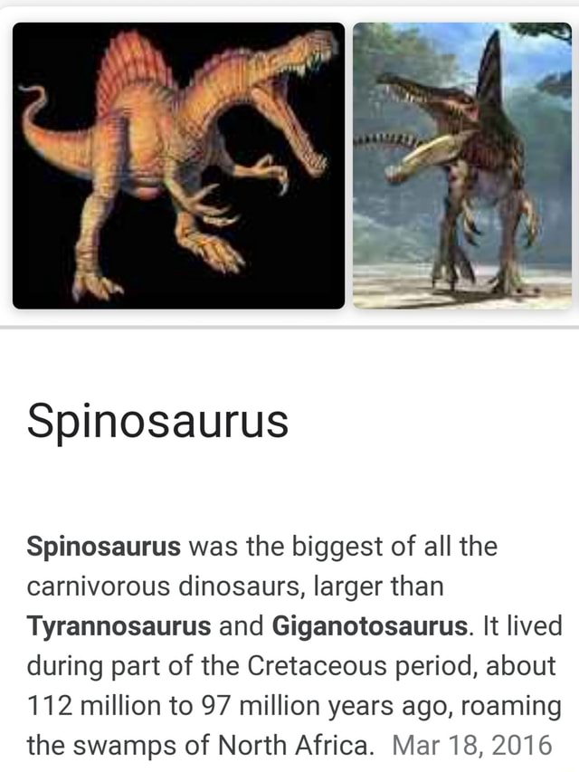 Spinosaurus Spinosaurus was the biggest of all the carnivorous ...