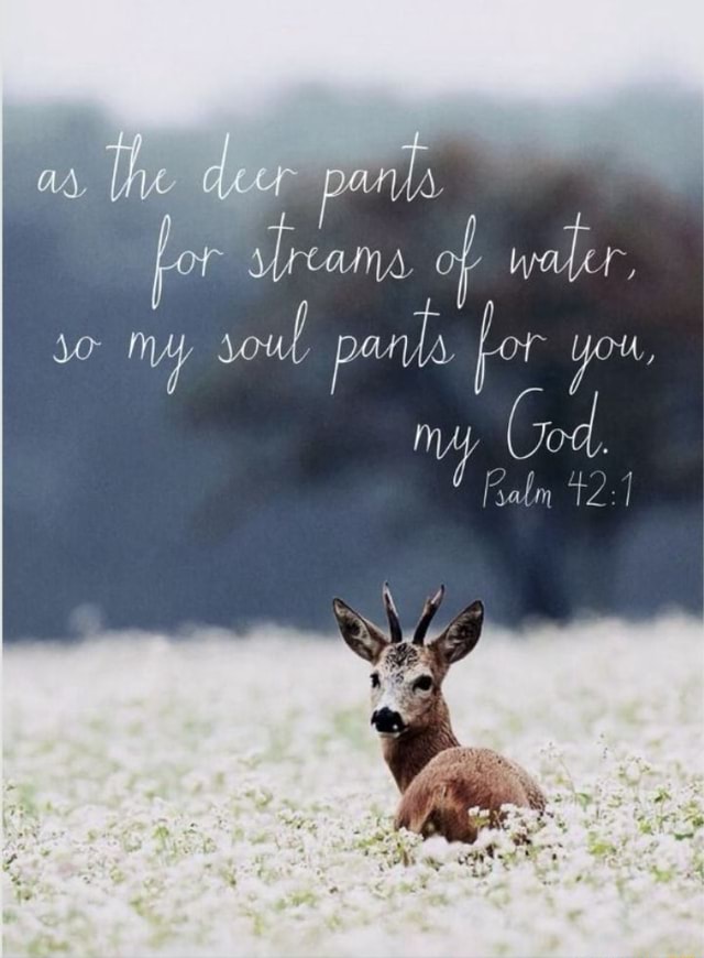 Aa der panha panha for - iFunny