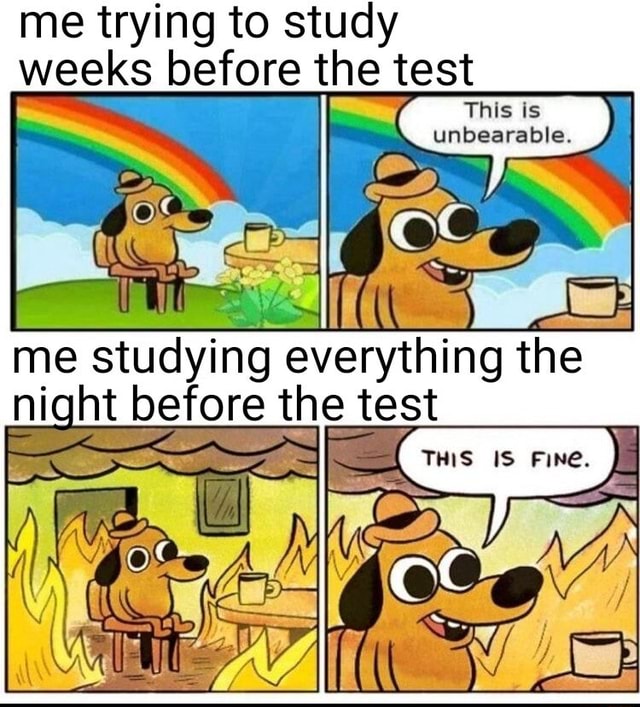 Me trying to study weeks before the test This is unbearable. me ...