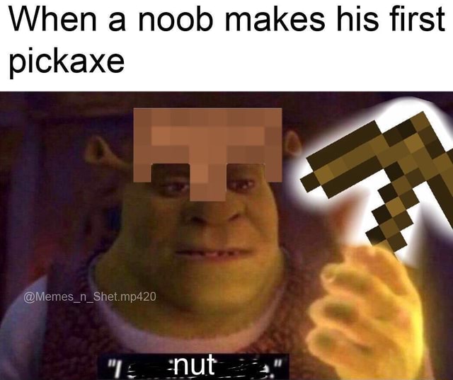 When a noob makes his first pickaxe @Memes_n_Shet.mp420 Nil 2-,48 - iFunny