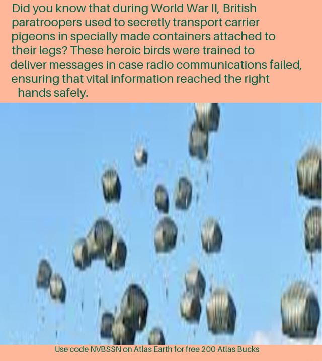 Did you know that during World War Il, British paratroopers used to ... Did you know that during World War Il, British paratroopers used to ...