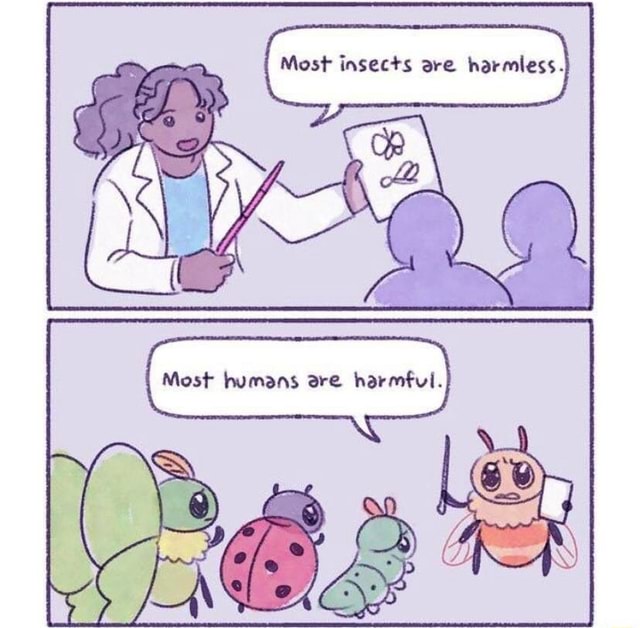Most insects are harmless. humans ore - iFunny