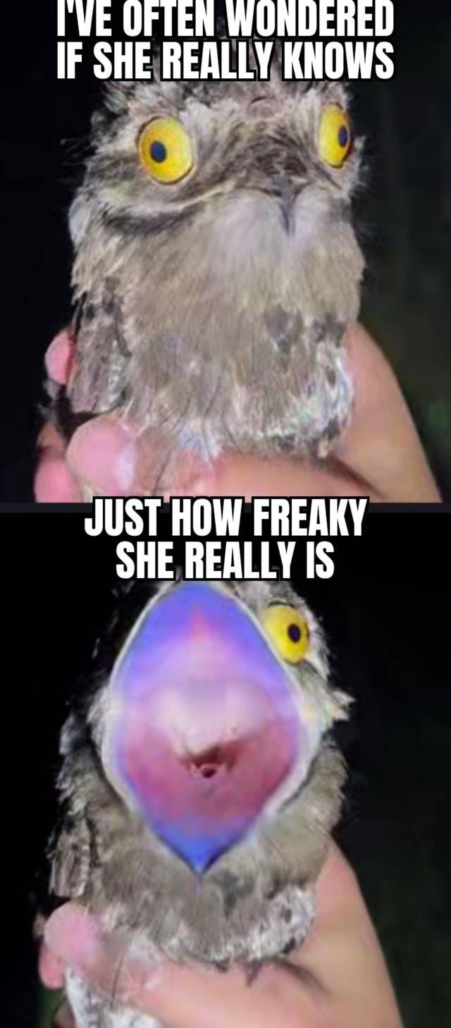OFTEN WONDERED IF SHE REALLY KNOWS JUST HOW FREAKY SHE REALLY IS - iFunny