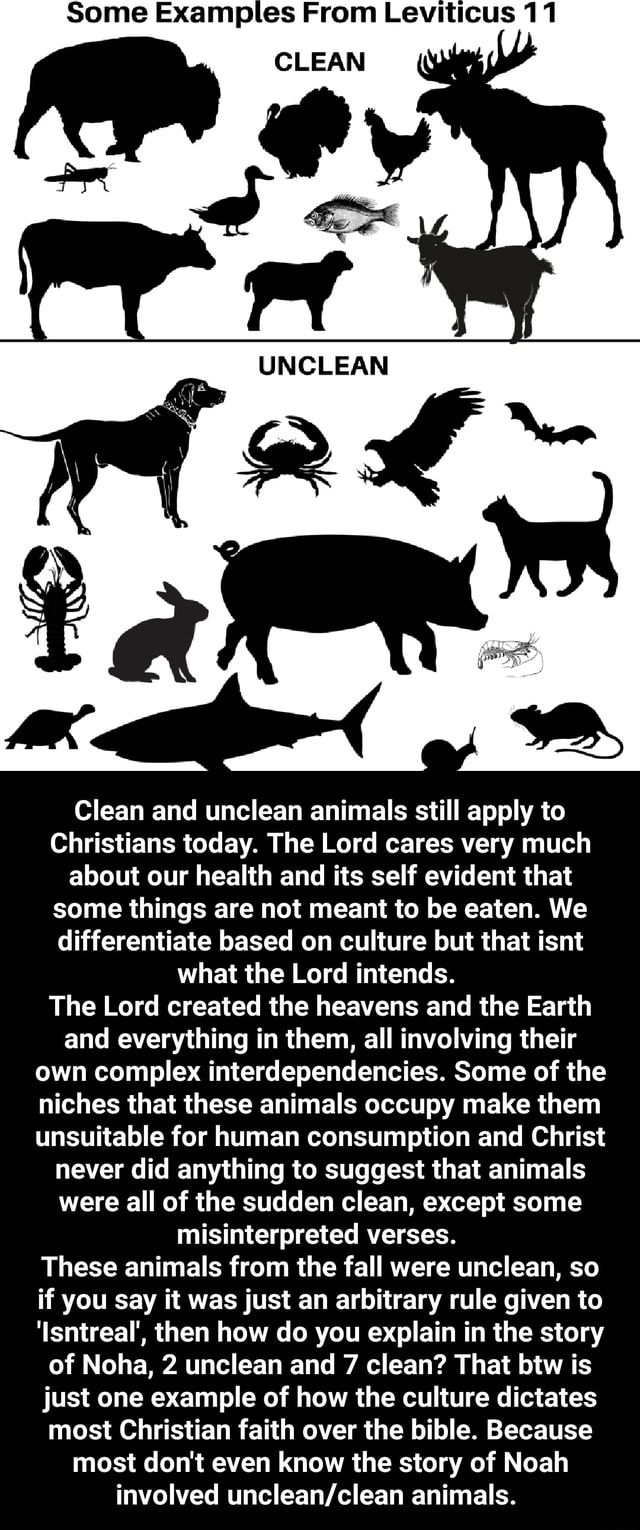 Some Examples From Leviticus 11 UNCLEAN Clean and unclean animals still ...