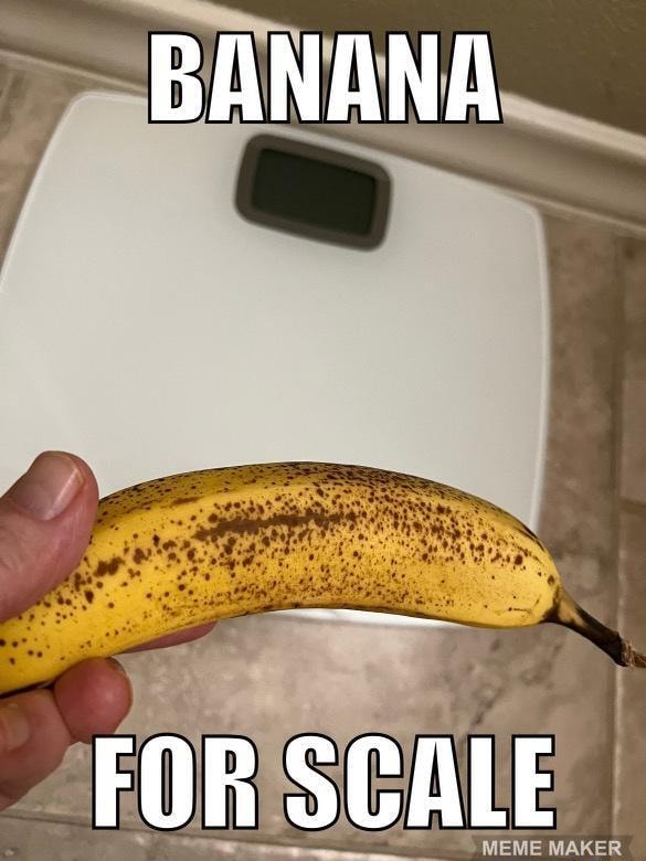 #banana_for_scale #funny #dad_jokes - BANANA FOR SCALE MEME MAKER - iFunny
