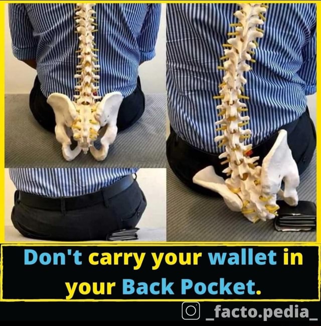 Don't carry your wallet in your Back Pocket. _facto.pedia_ - iFunny