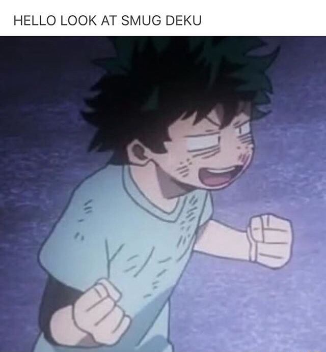 HELLO LOOK AT SMUG DEKU - iFunny