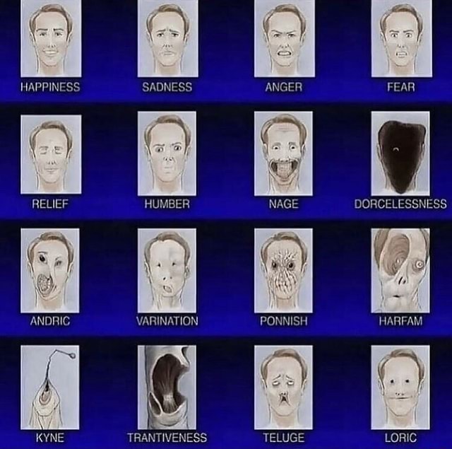 HAPPINESS SADNESS ANGER FEAR LIEF HUMBER NAGE DORCELESSNESS ANORIC ...