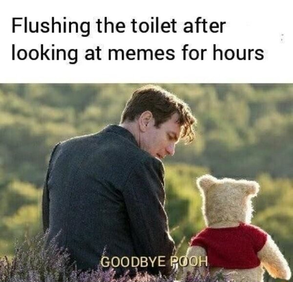 Flushing the toilet after looking at memes for hours GOODBYE adorn - iFunny