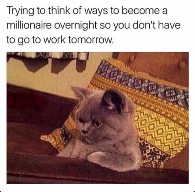 No comment - Trying to think of ways to become a millionaire overnight ...