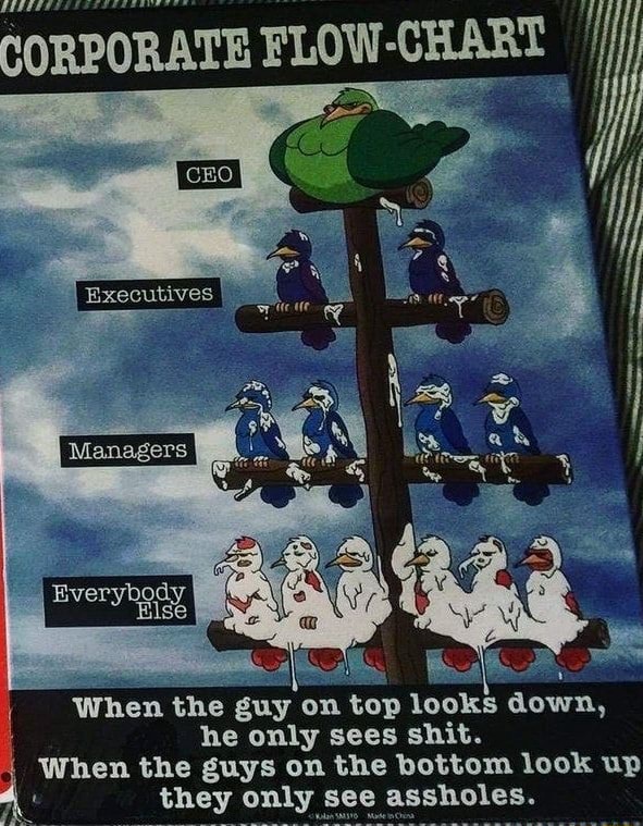 CORPORATE FLOW- CHART When the guy on top looks down, he only sees shit ...