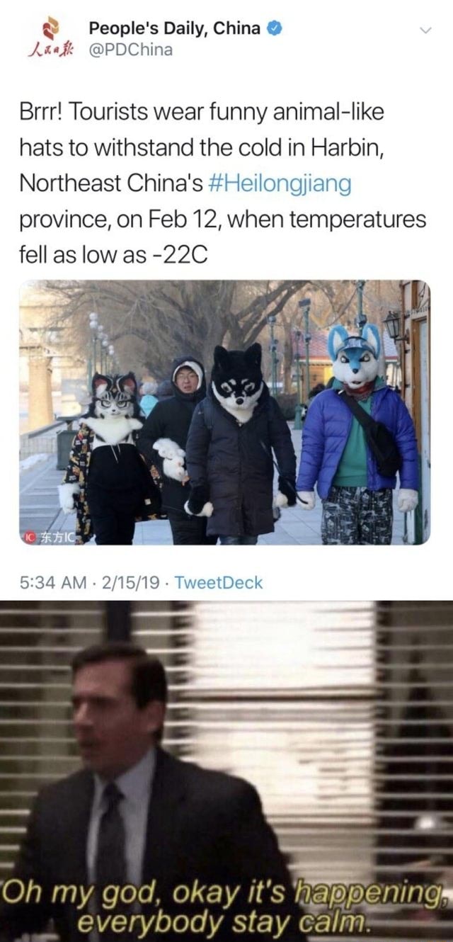 People's Daily, China @ @PDChina Brrr! Tourists wear funny animal-like ...