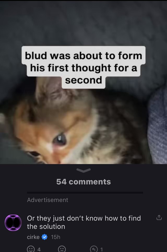 Blud was about to form his first thought for a second 54 comments ...