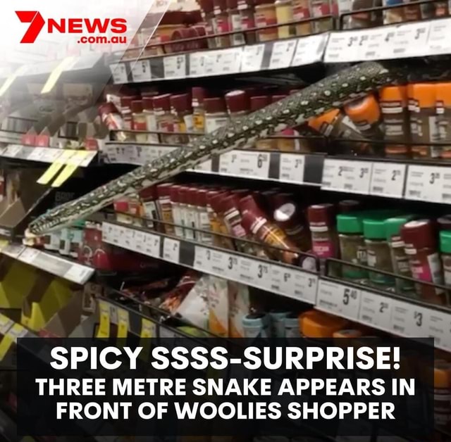 Living in Australia like - SPICY SSSS- SURPRISE! THREE METRE SNAKE ...