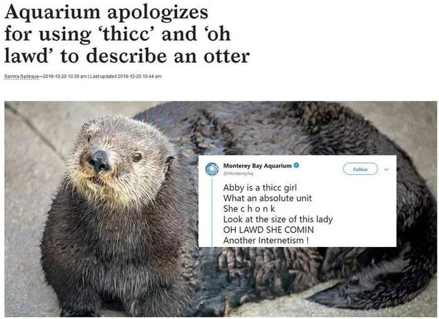 Aquarium apologizes for using 'thicc' and 'oh lawd' to describe an ...