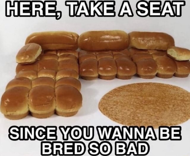 HERE, TAKE A SEAT SINCE YOU WANNA BE BRED SO BAD - iFunny
