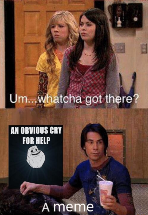 AN OBVIOUS CRY FOR HELP ~meme - iFunny
