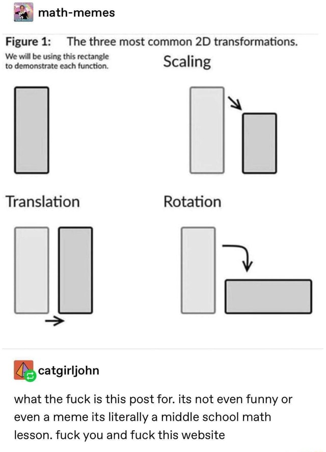 E math-memes Figure 1: The three most common 2D transformations ...