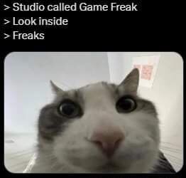 > Studio called Game Freak > Look inside > Freaks - iFunny