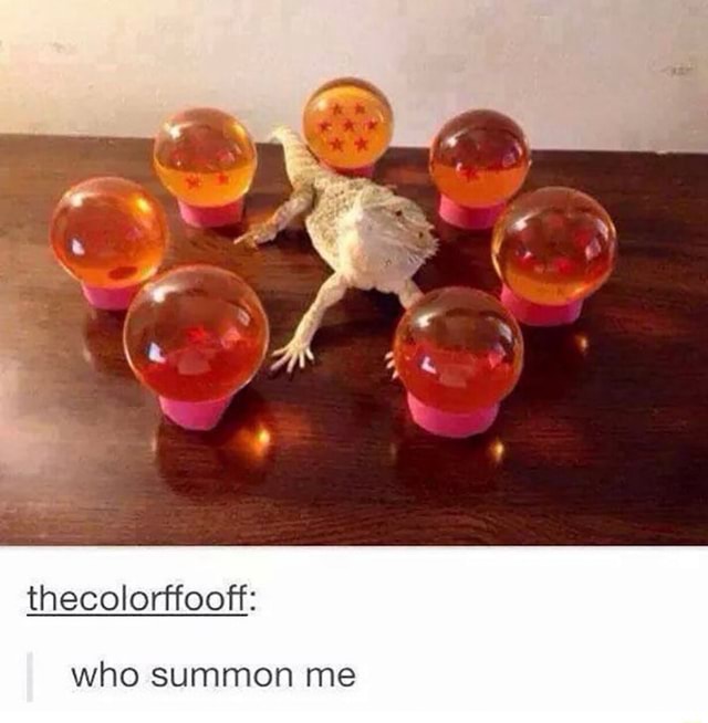 Who summon me - iFunny