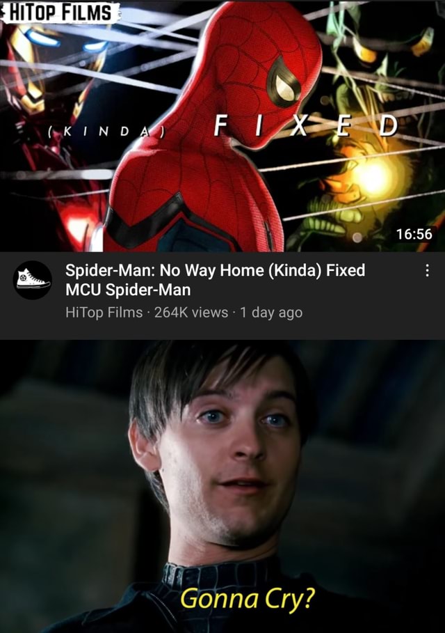 HITOP FILMS: Spider-Man: No Way Home (Kinda) Fixed MCU Spider-Man HiTop ...