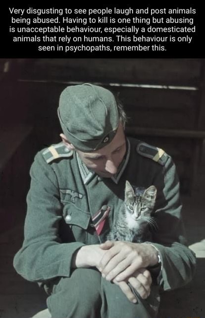 Very disgusting to see people laugh and post animals being abused ...