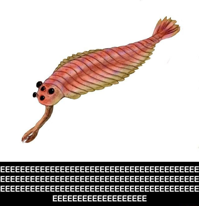 EEEEEEEEEEEEEEEEEEEEEEEEEEEEEEEEEEEEEEEEEEEEEEEEEEEEEEEEEEEEEEEEEEEEEEE ...