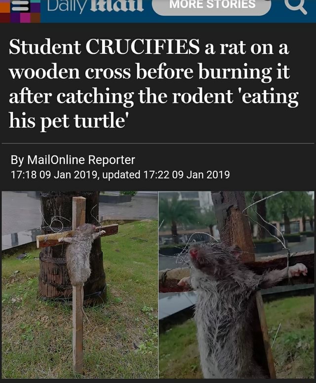STORIES Student CRUCIFIES a rat on a wooden cross before burning it ...