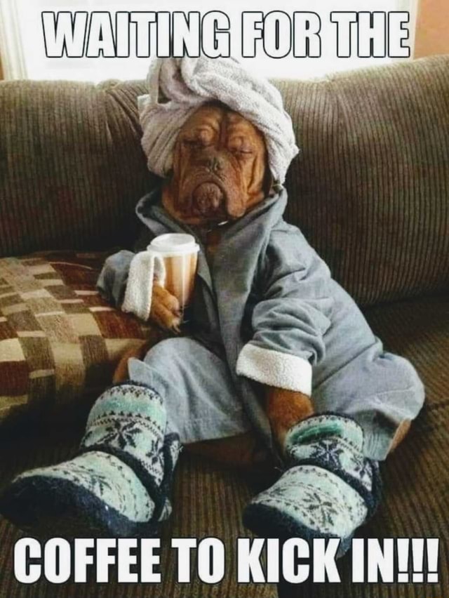 COFFEE TO KICK IN!!! - iFunny