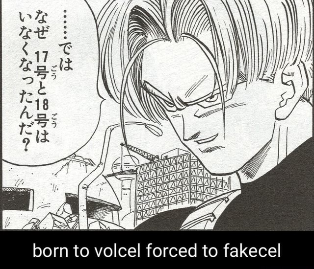 Born to volcel forced to fakecel - iFunny
