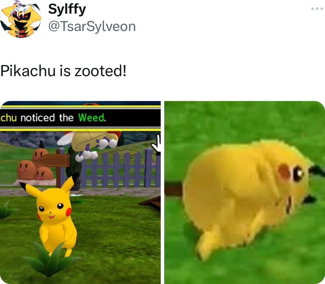 @TsarSylveon Pikachu is zootec!! chu noticed the Weed. - iFunny