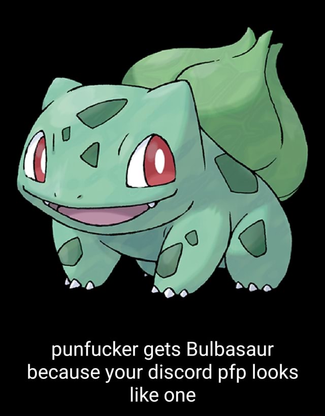Punfucker gets Bulbasaur because your discord pfp looks like one - iFunny
