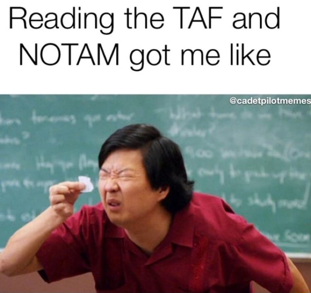 Reading the TAF and NOTAM got me like - iFunny