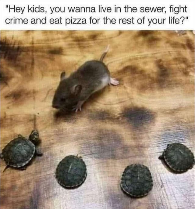 TMNT origin story irl - "Hey kids, you wanna live in the sewer, fight ...
