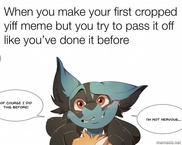 When you make your first cropped yiff meme but you try to pass it off ...