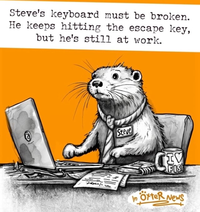 Steve's keyboard must be broken. He keeps hitting the escape key, but ...