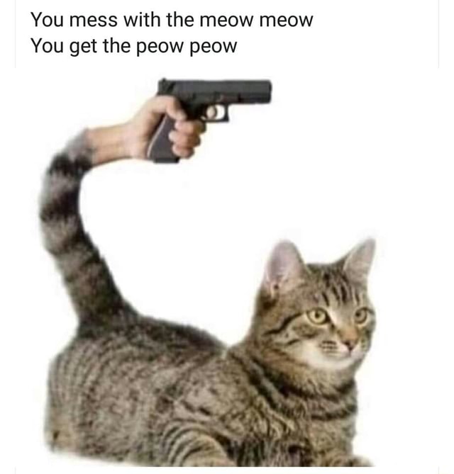 You mess with the meow meow You oet the oeow oeow - iFunny