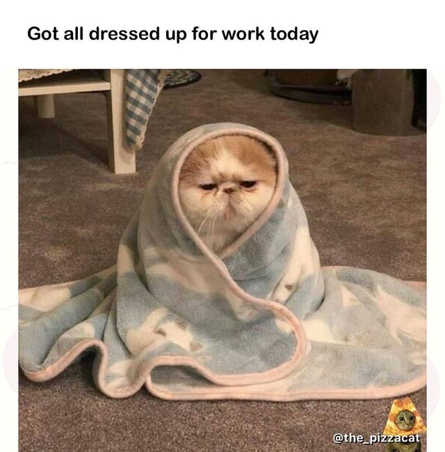 Got all dressed up for work today - WHLSM