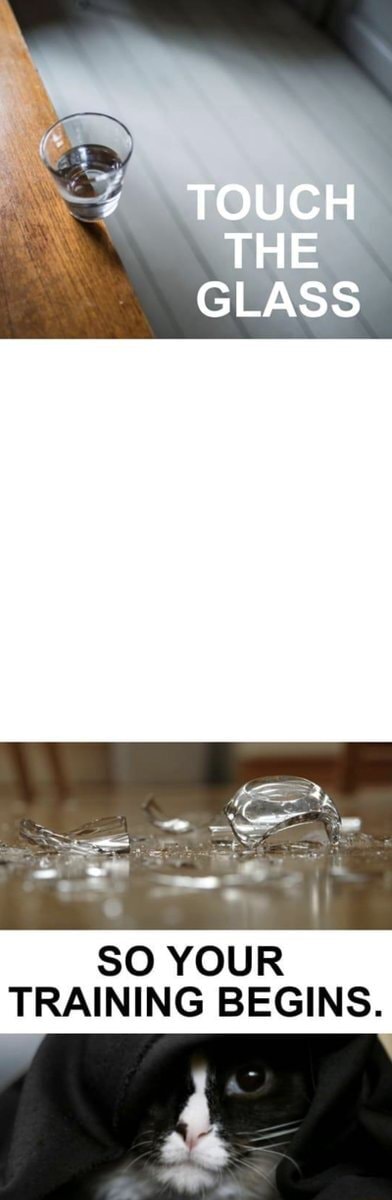 TOUCH THE GLASS SO YOUR TRAINING BEGINS. - iFunny