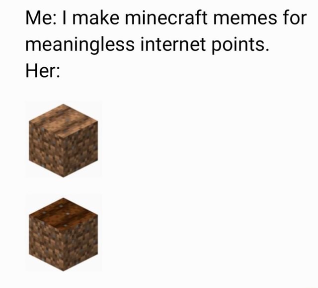 Me: I make minecraft memes for meaningless internet points. Her: - iFunny