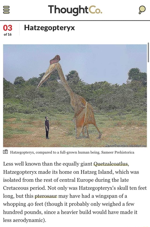 ThoughtCo. 03 Hatzegopteryx 000 of 16 Hatzegopteryx. compared to a full ...