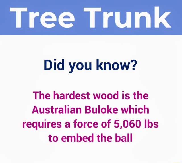 Did you know? The hardest wood is the Australian Buloke which requires ...