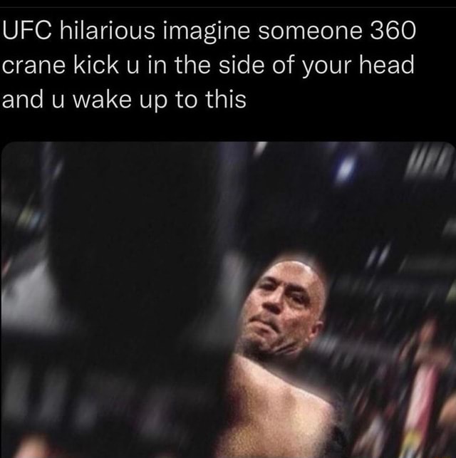 UFC hilarious imagine someone 360 crane kick u in the side of your head ...