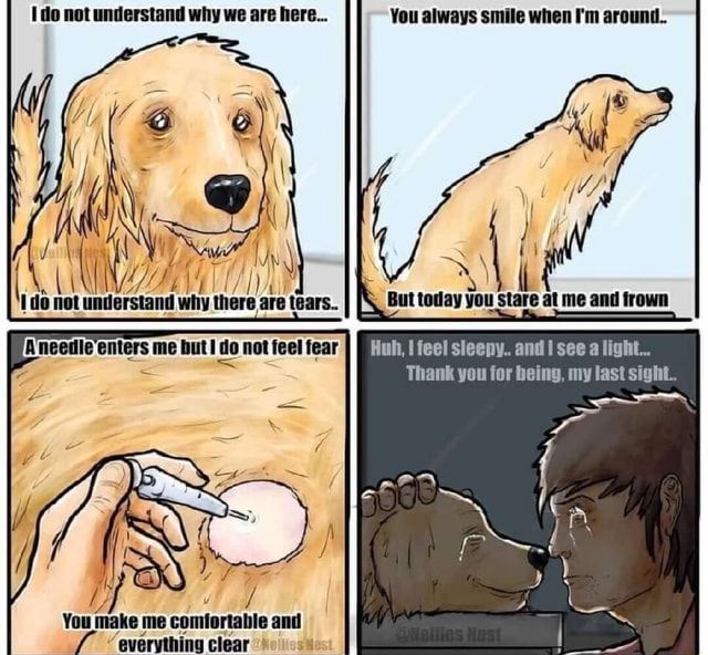 Ido not understand why we are here... You always smile when I'm around. I do not understand why ...