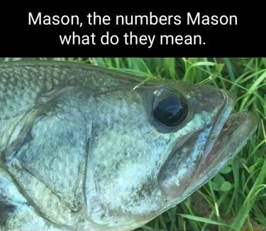 Mason, the numbers Mason what do they mean. - iFunny