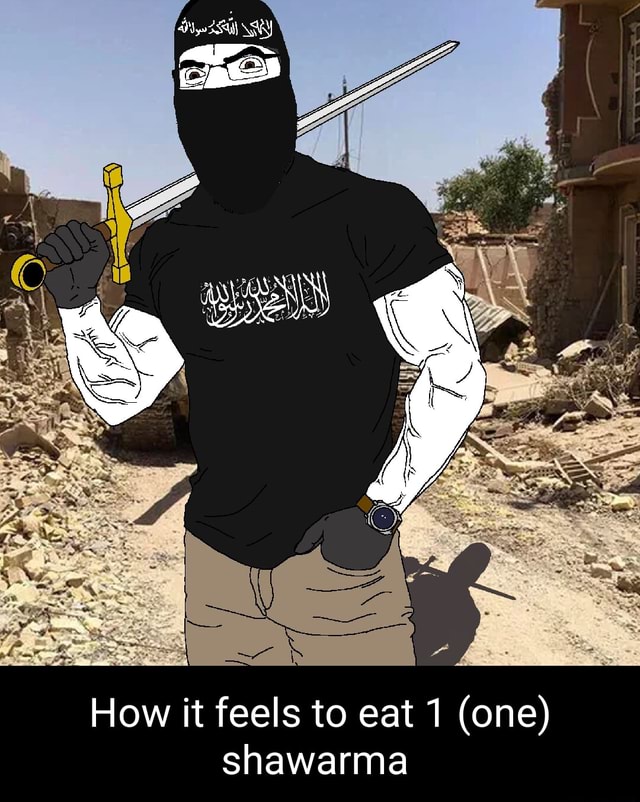 Si) SRY How it feels to eat 1 (one) shawarma - iFunny